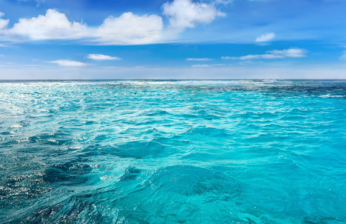 UdeMedellín se une a la investigación de los océanos – Universidad de ...