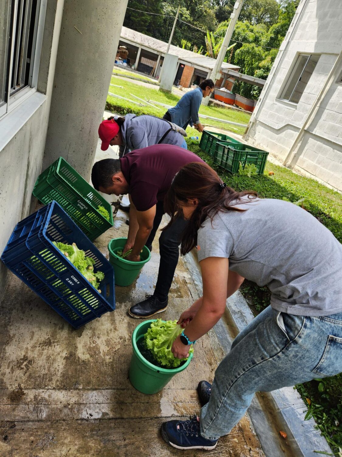 Frutos de la Ecohuerta UdeMedellín – Universidad de Medellín